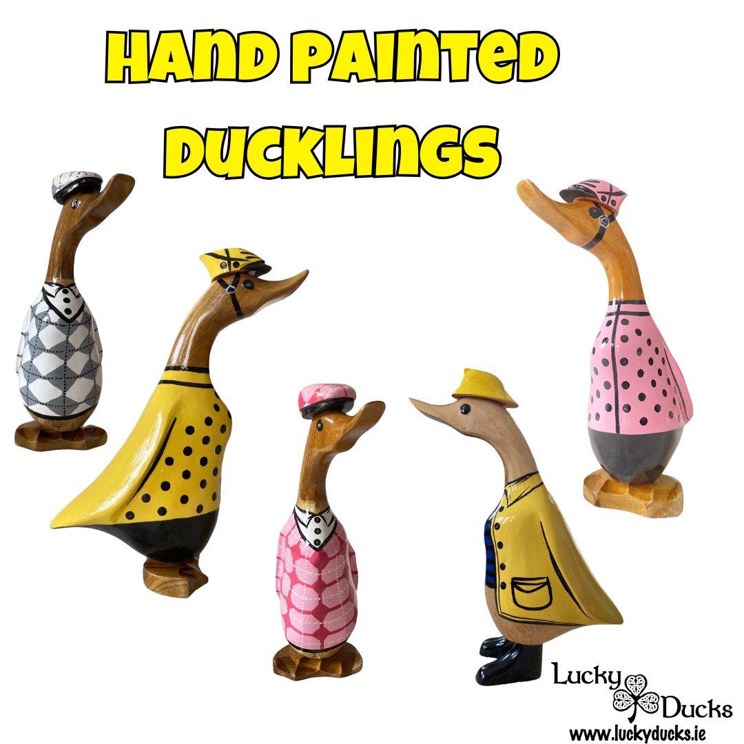 LuckyDucks.ie – Lucky Ducks