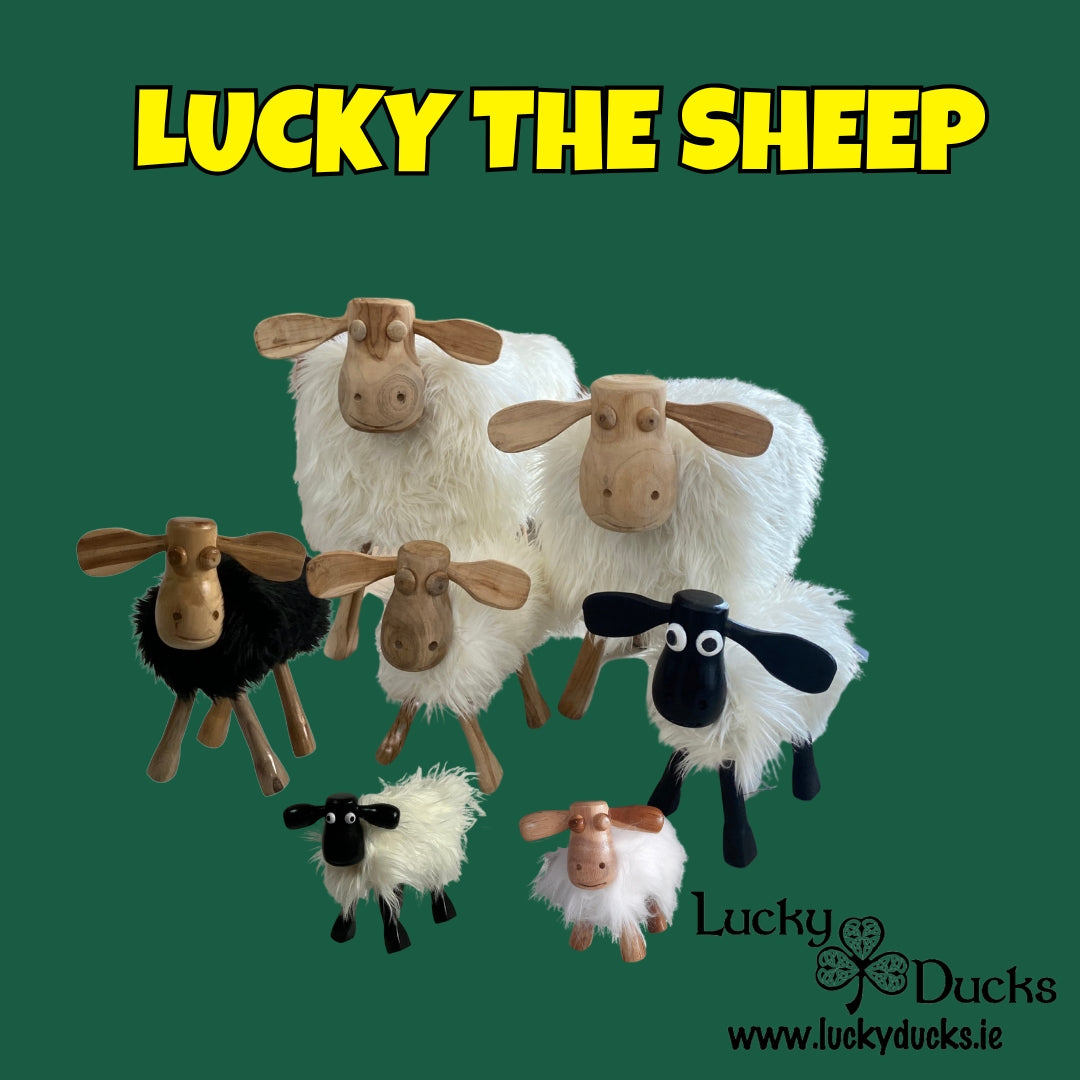 LuckyDucks.ie – Lucky Ducks