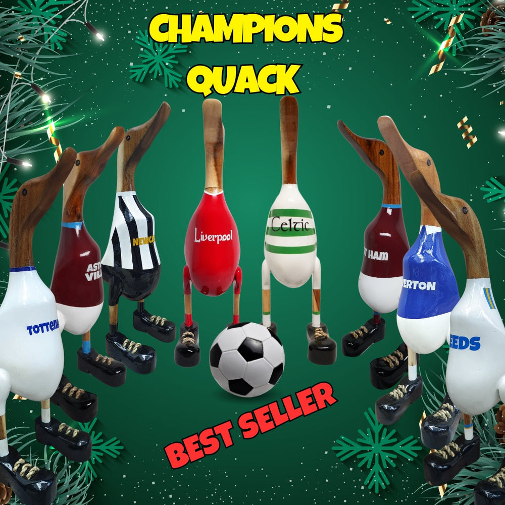 LuckyDucks.ie – Lucky Ducks