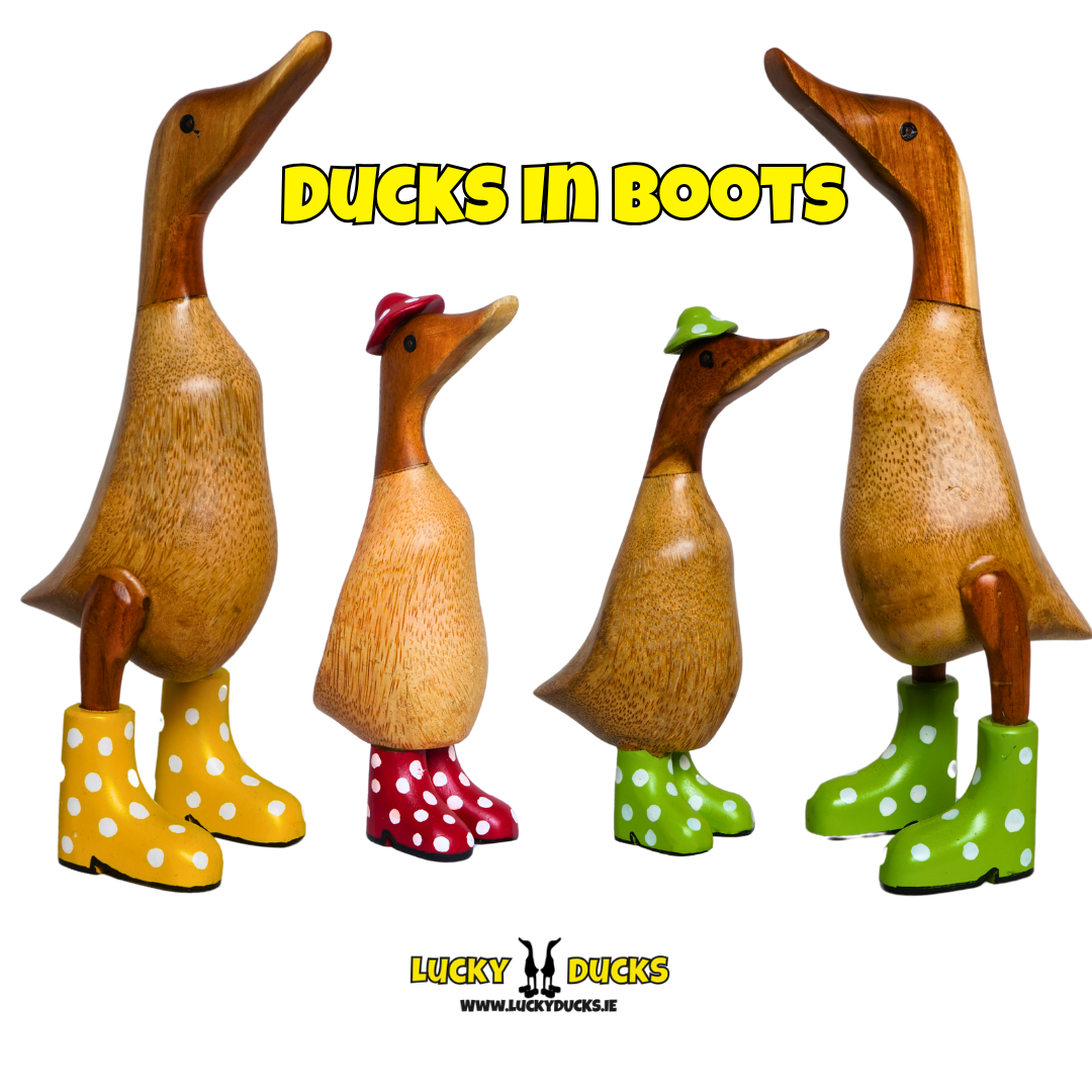 LuckyDucks.ie – Lucky Ducks