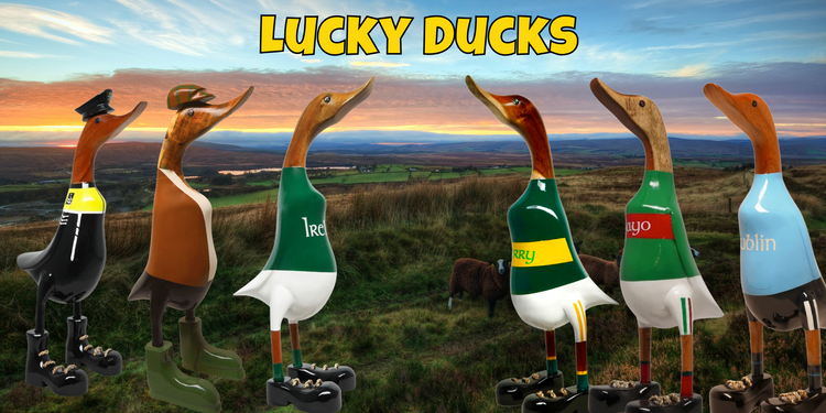 LuckyDucks.ie – Lucky Ducks