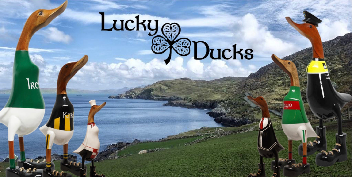 LuckyDucks.ie – Lucky Ducks