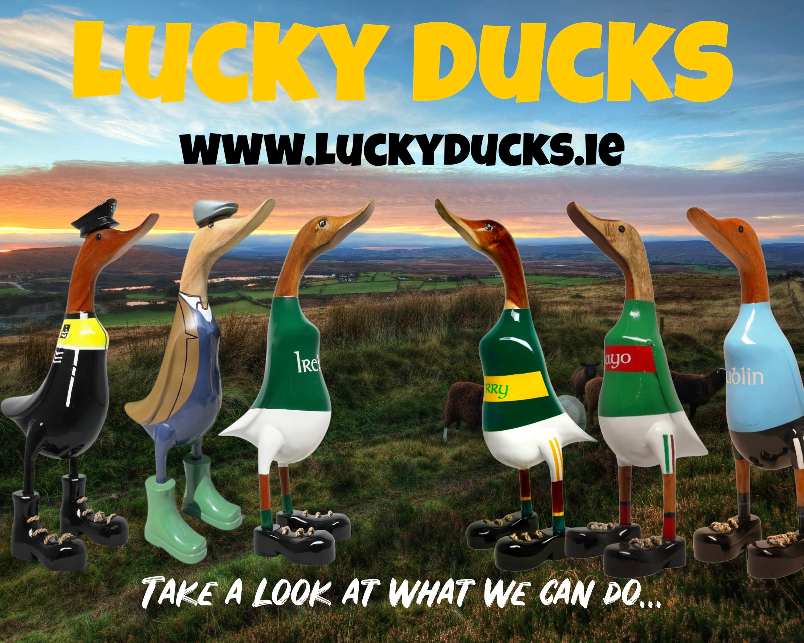 LuckyDucks.ie – Lucky Ducks