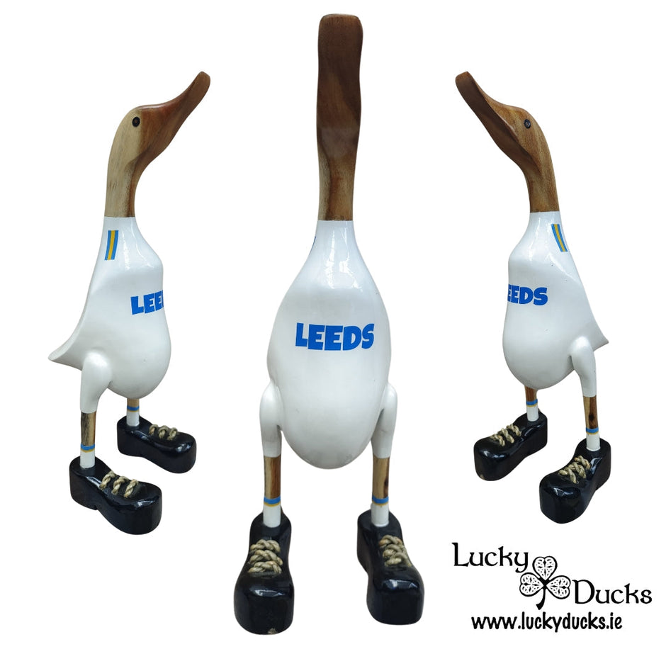 LuckyDucks.ie – Lucky Ducks