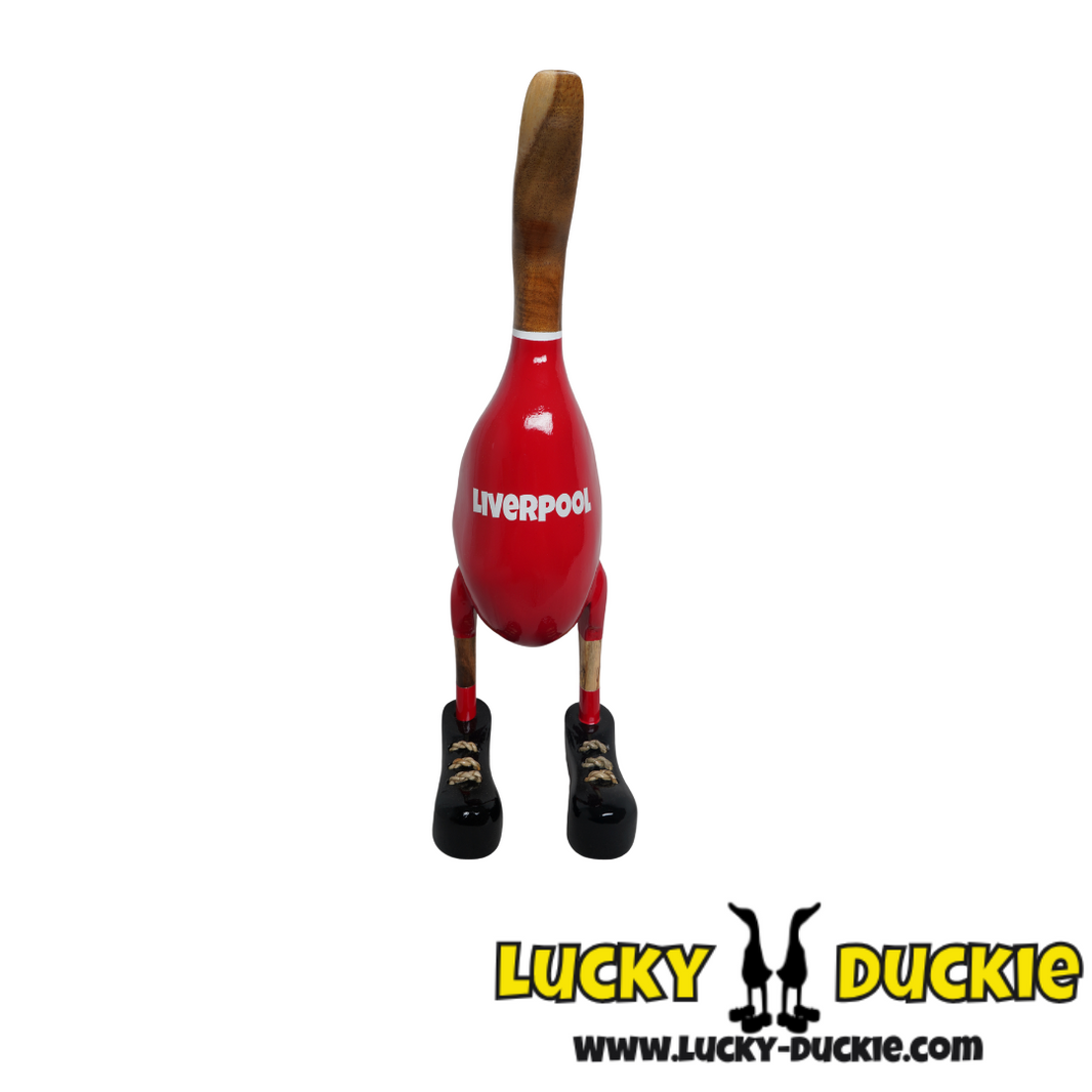 LuckyDucks.ie – Lucky Ducks