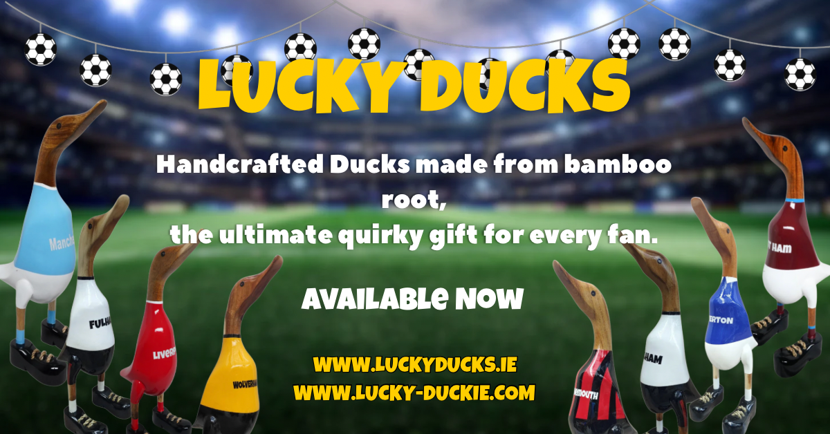 LuckyDucks.ie – Lucky Ducks