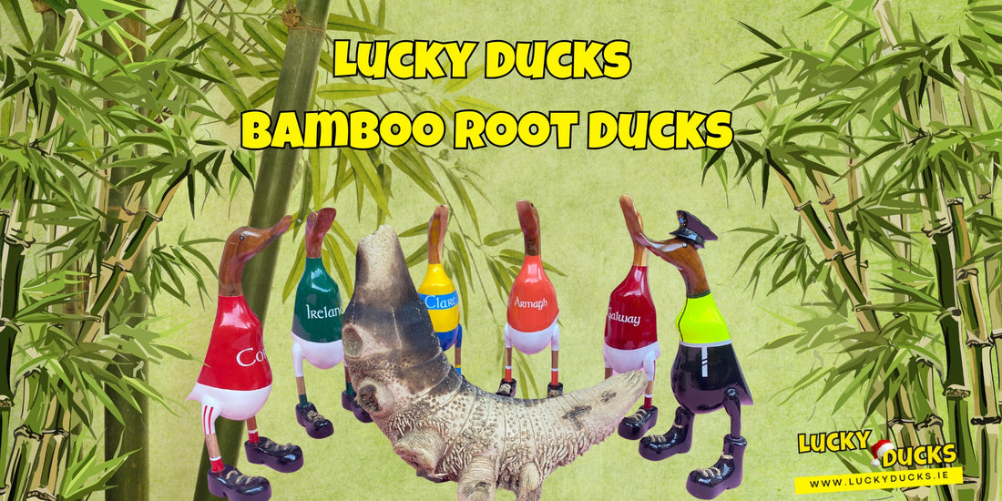 LuckyDucks.ie – Lucky Ducks