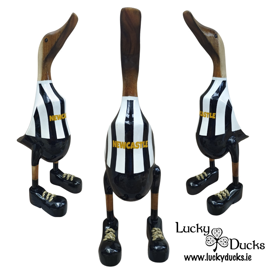 Newcastle Duck – Lucky Ducks
