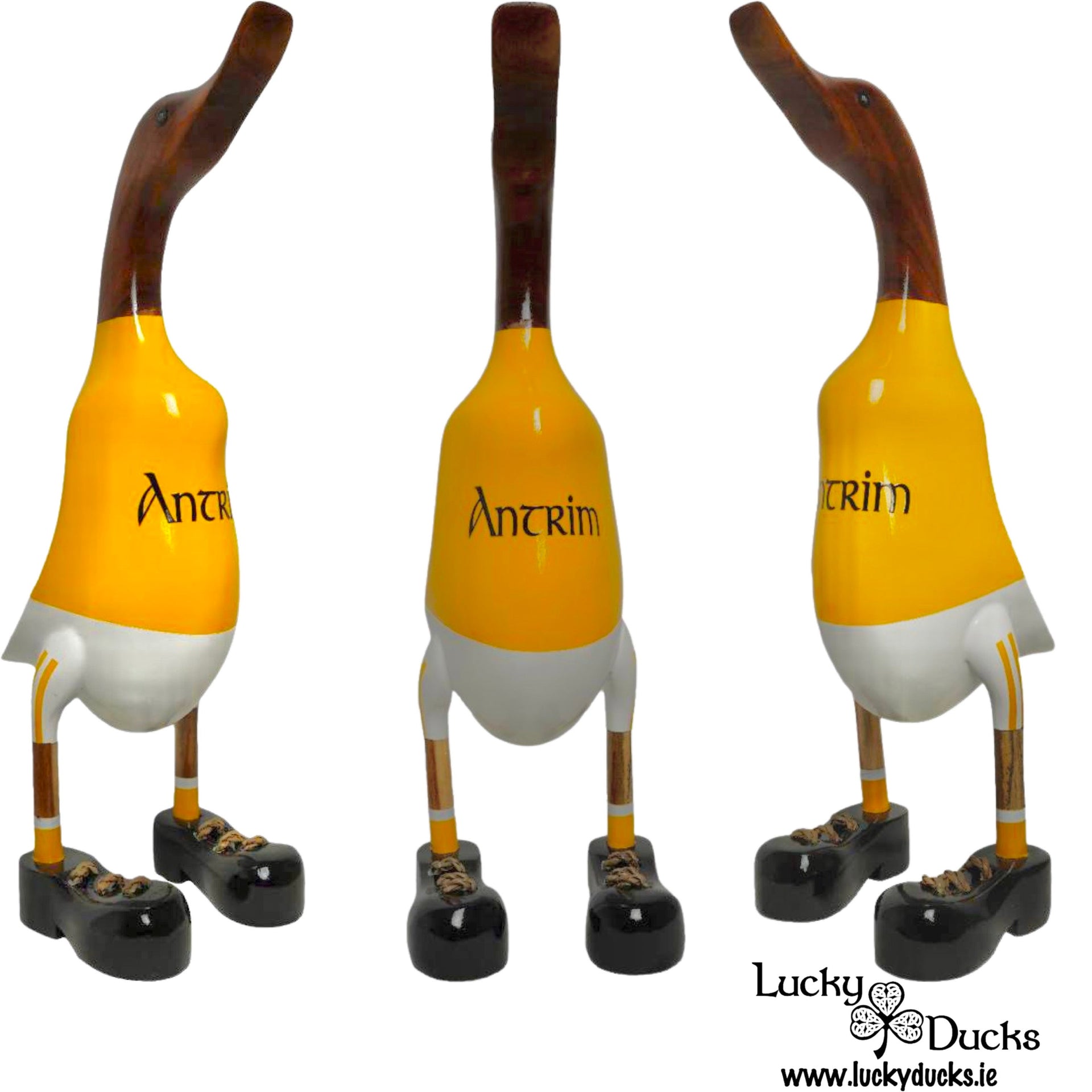 LuckyDucks.ie – Lucky Ducks