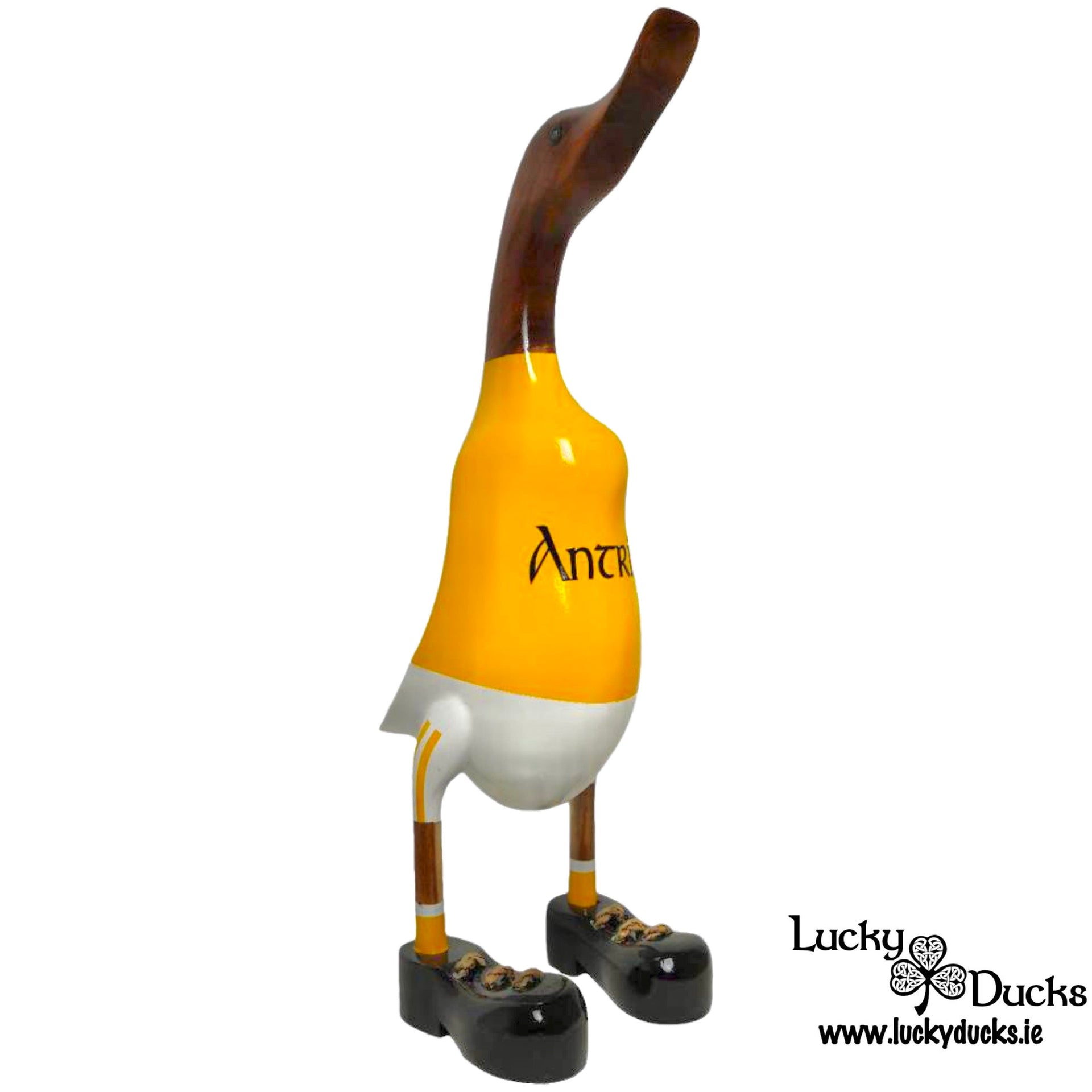 LuckyDucks.ie – Lucky Ducks